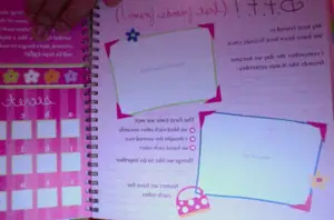 10 REASONS WHY LIMITED TOO WAS THE BEST STORE EVER - Nostalchicks